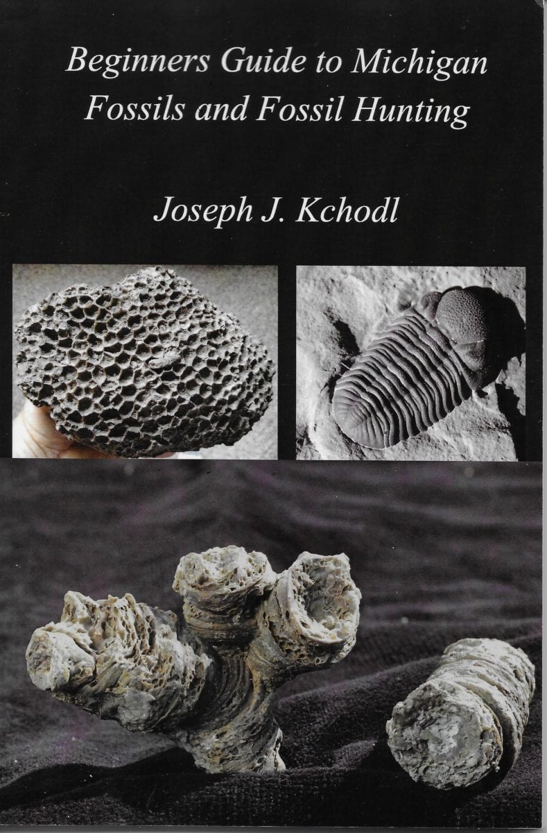 Guide to Michigan Fossils - Paleo Joe
